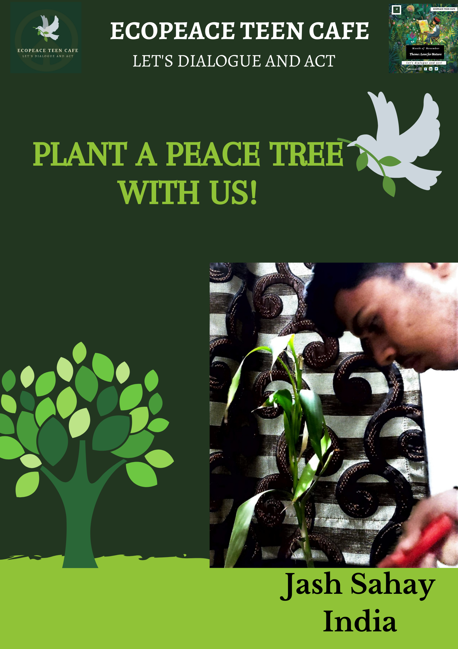Plant a peace tree with us! – Ecopeace Teen Cafe