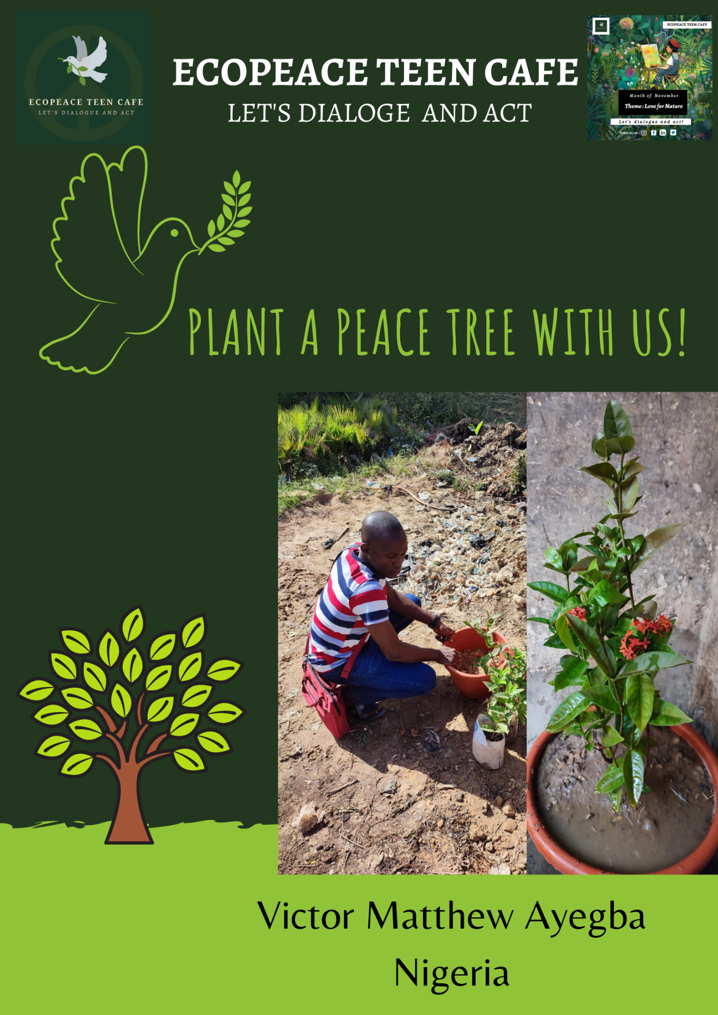 Plant a peace tree with us! – Ecopeace Teen Cafe