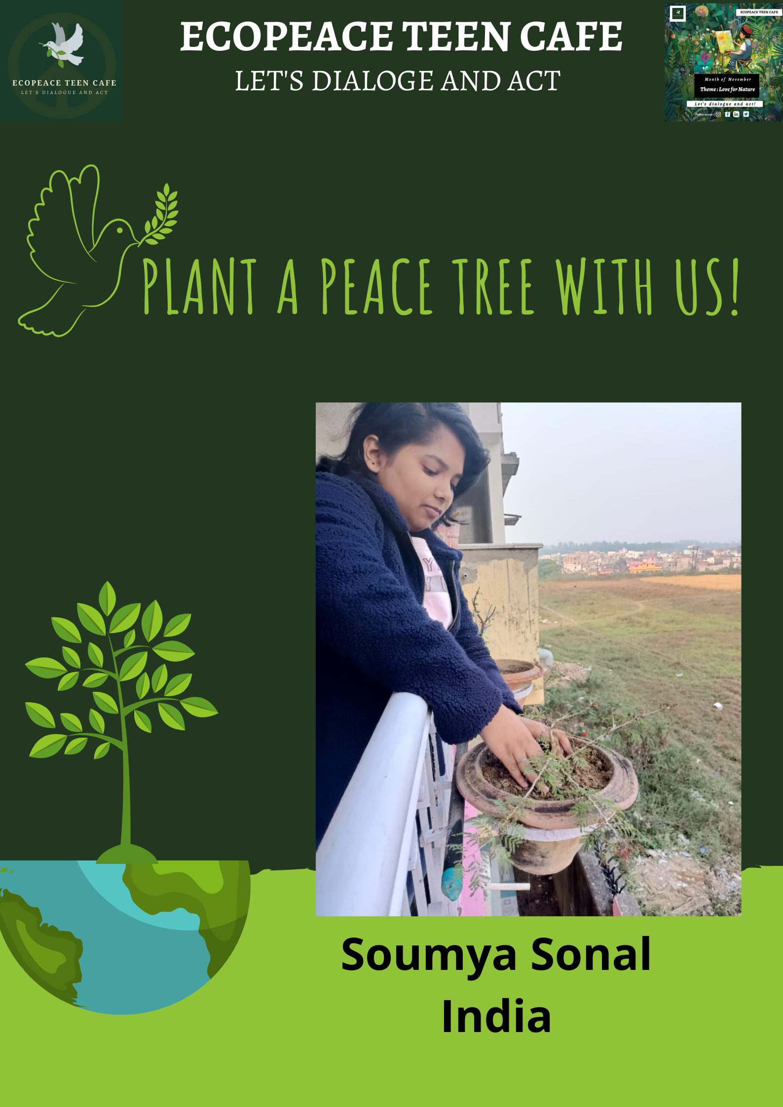 Plant a peace tree with us! – Ecopeace Teen Cafe