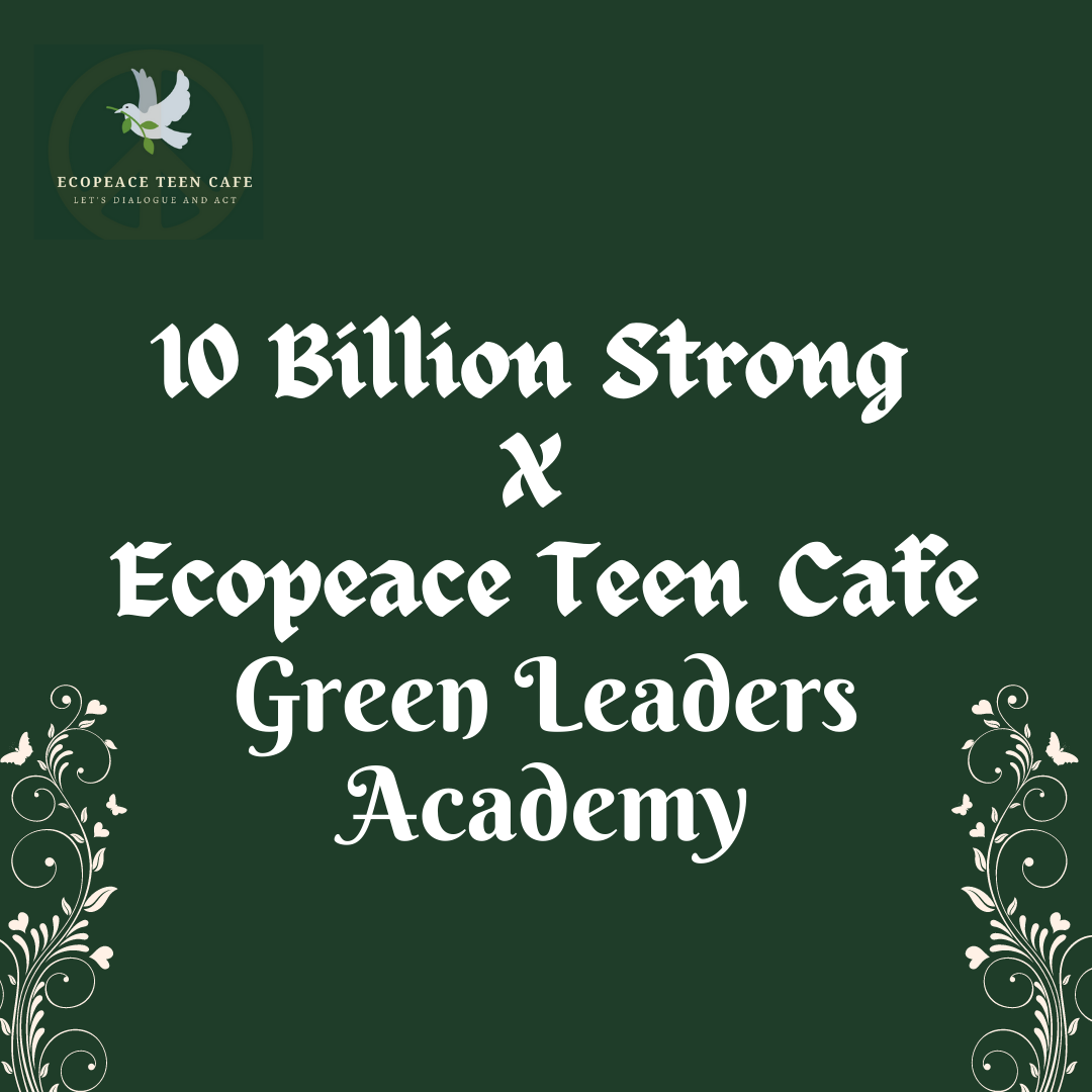 Our Programs – Ecopeace Teen Cafe