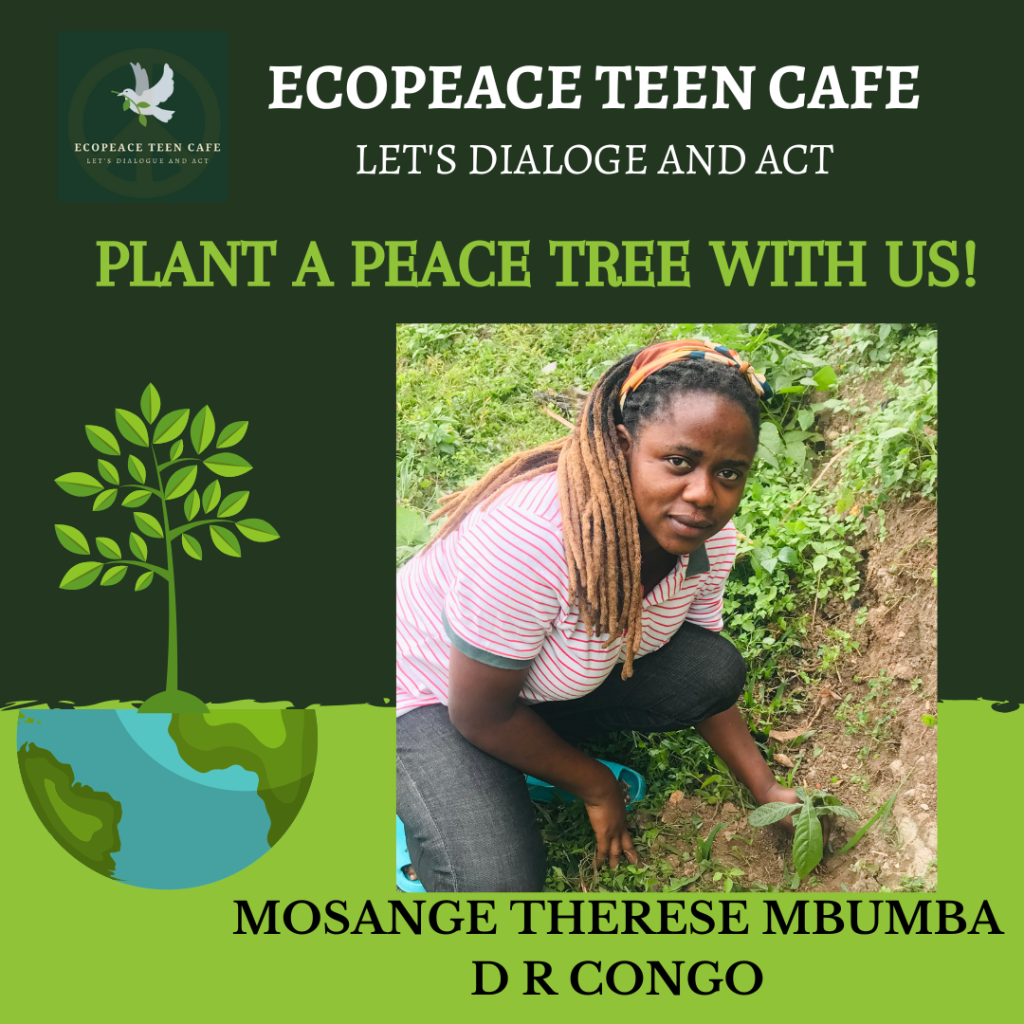 Plant a peace tree with us! – Ecopeace Teen Cafe
